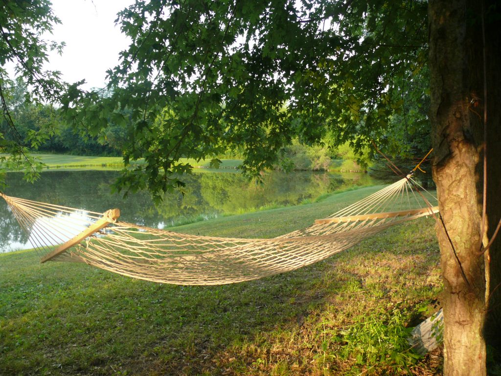 Writing fields lie fallow. Where will this lead?